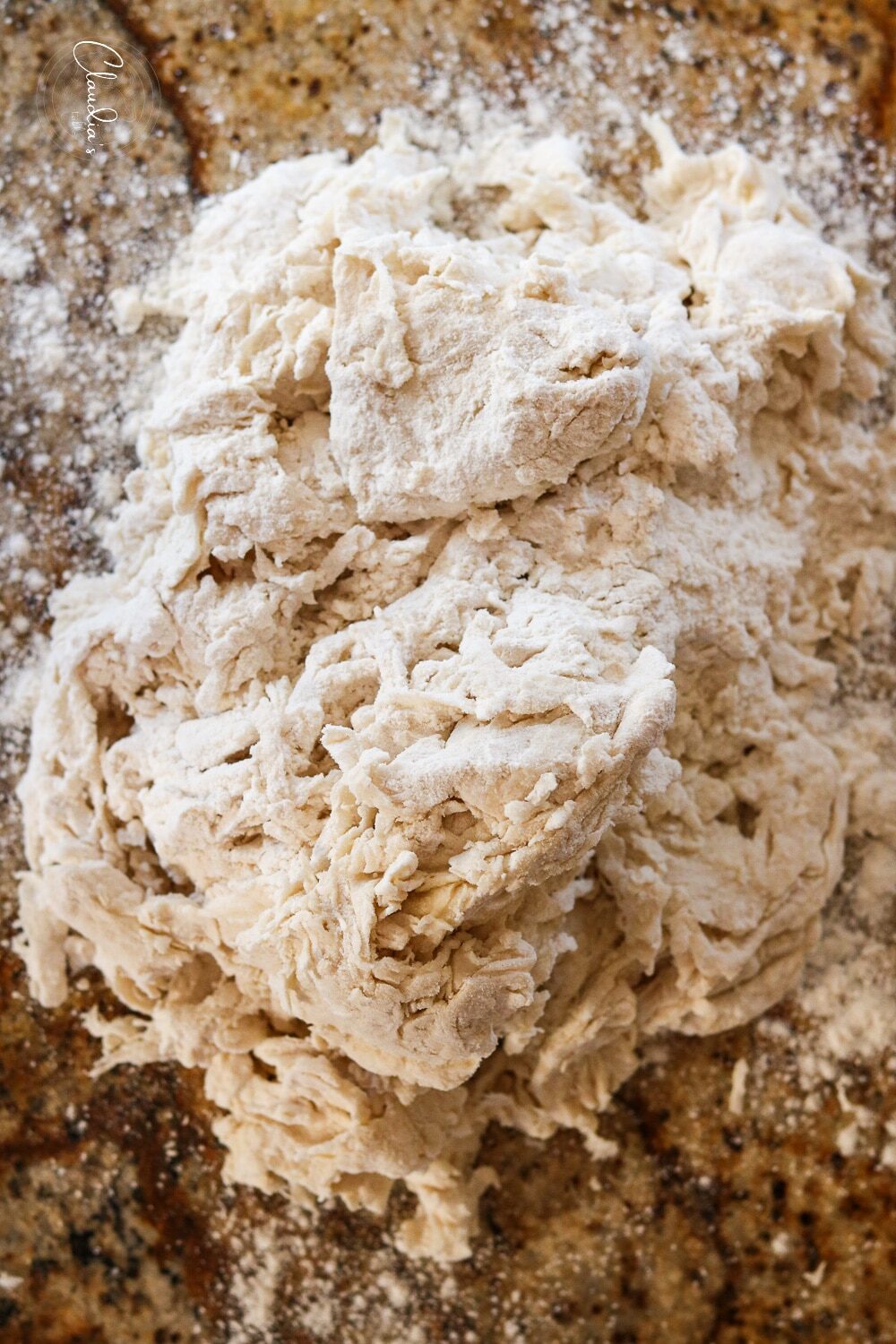 Perfect All-Purpose Pizza Dough – Claudia's Table