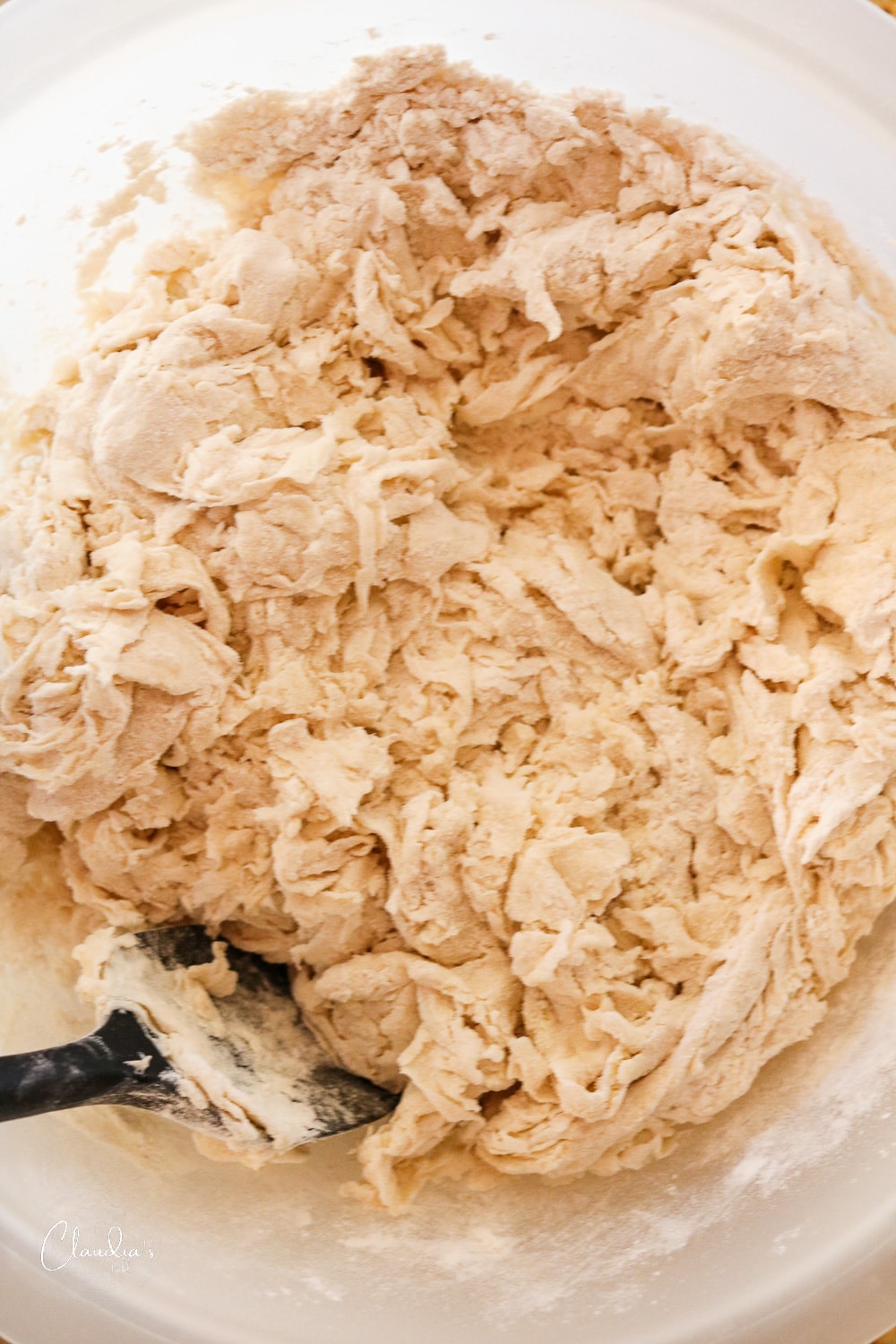 Perfect All-Purpose Pizza Dough – Claudia's Table